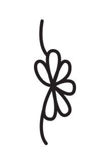 Puntada de flor - Singer Chile